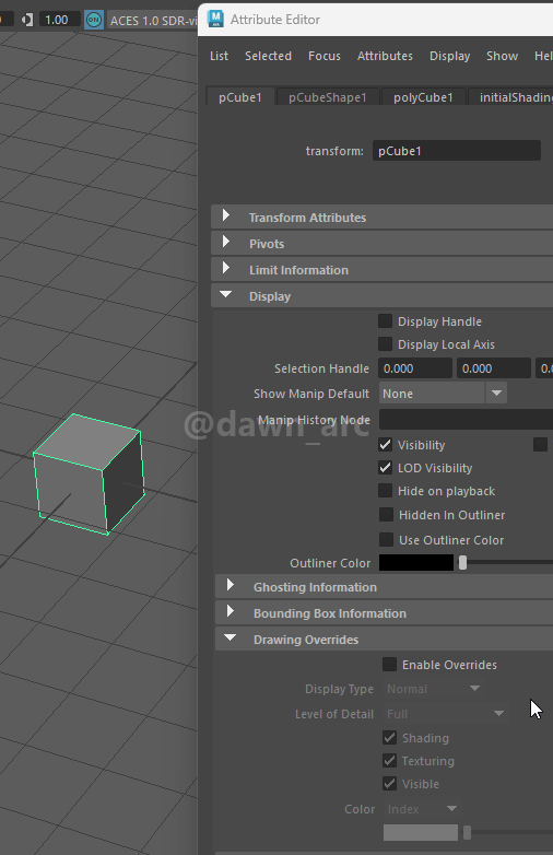 [Maya]Display-Viewport